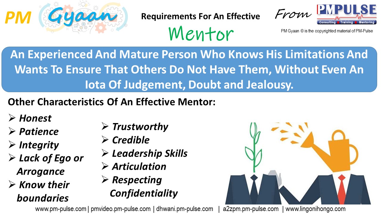 PM-Pulse | Project Management